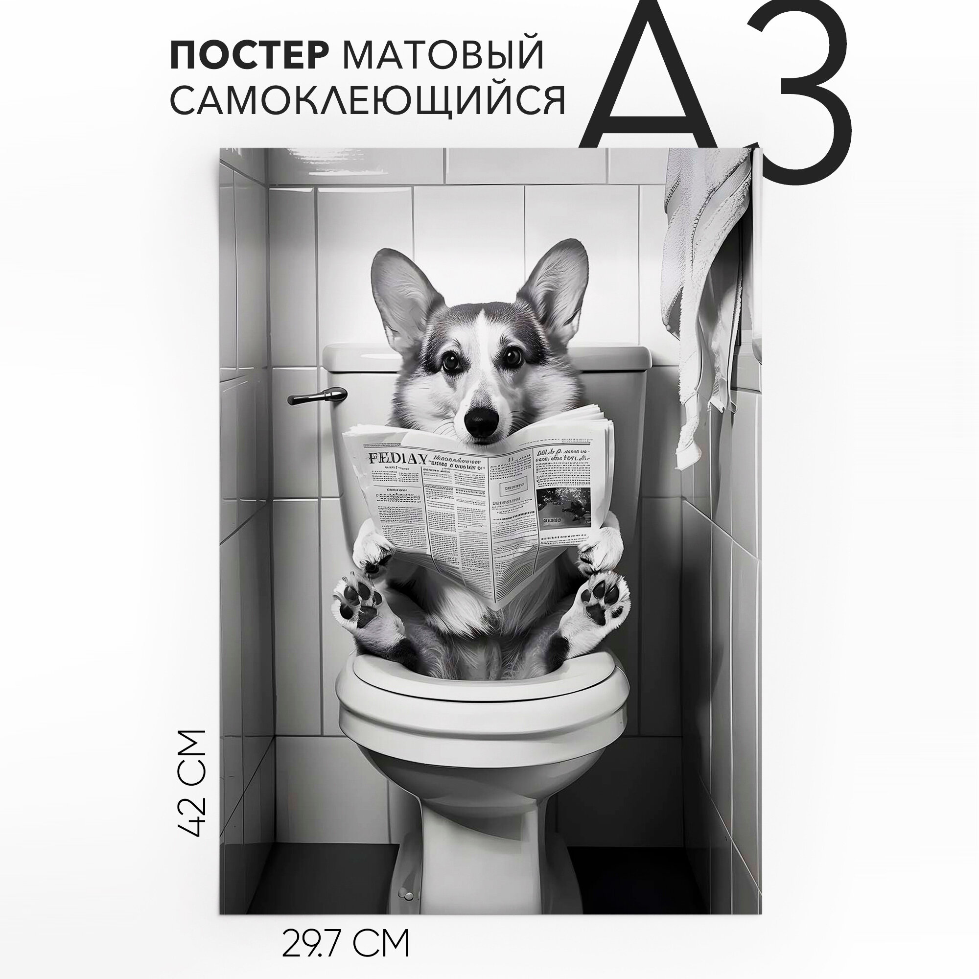 Постеры интерьерные самоклеящийся A3 Корги на унитазе, влагостойкий, для декора