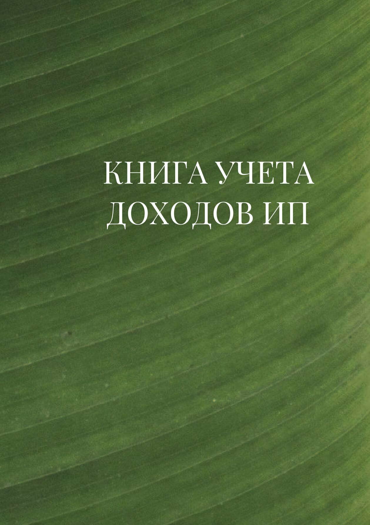 Книга учета доходов для ИП на патенте