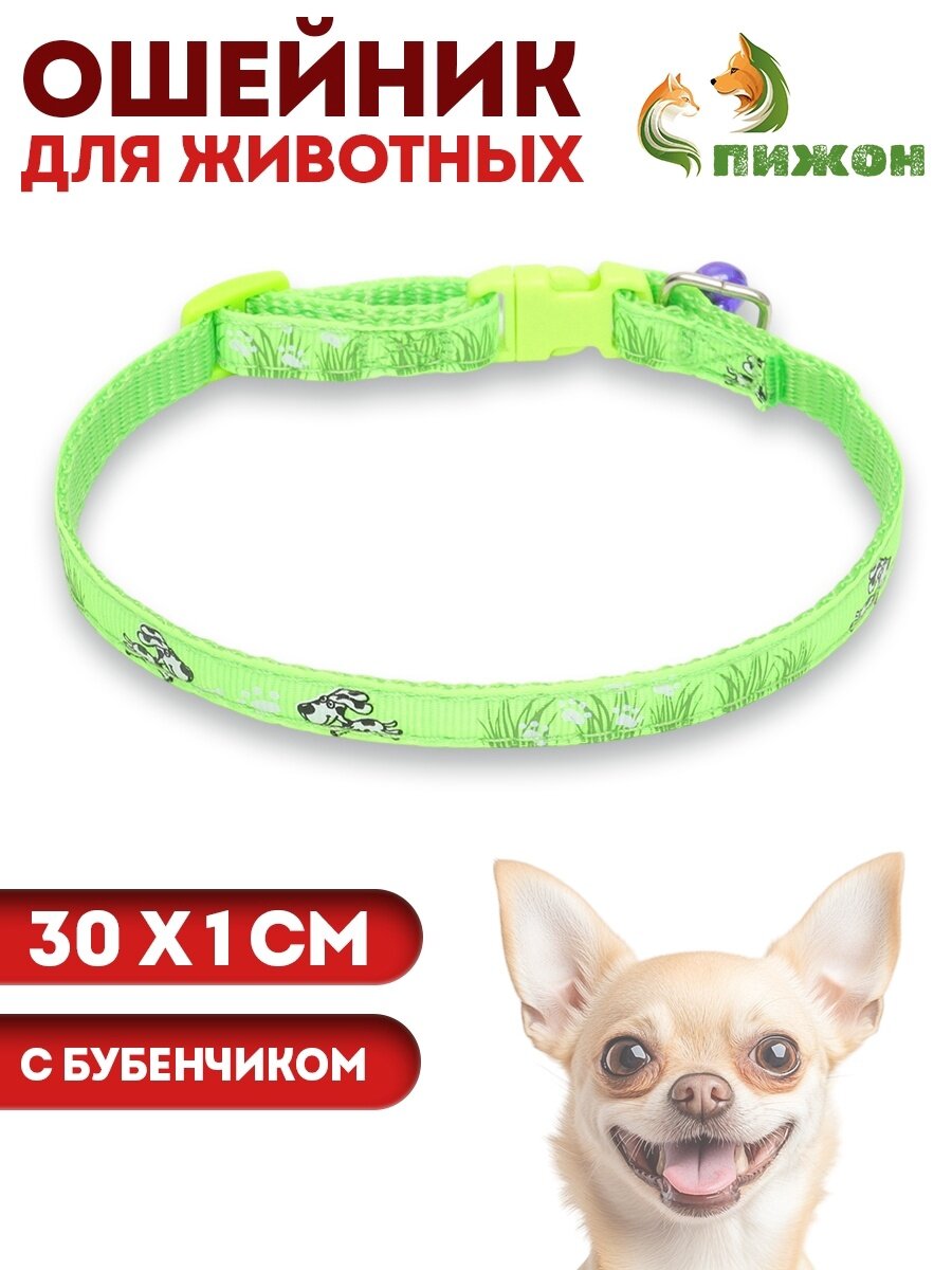 Пижон Ошейник "Лето" с бубенчиком, 30 х 1 см, капрон, салатовый