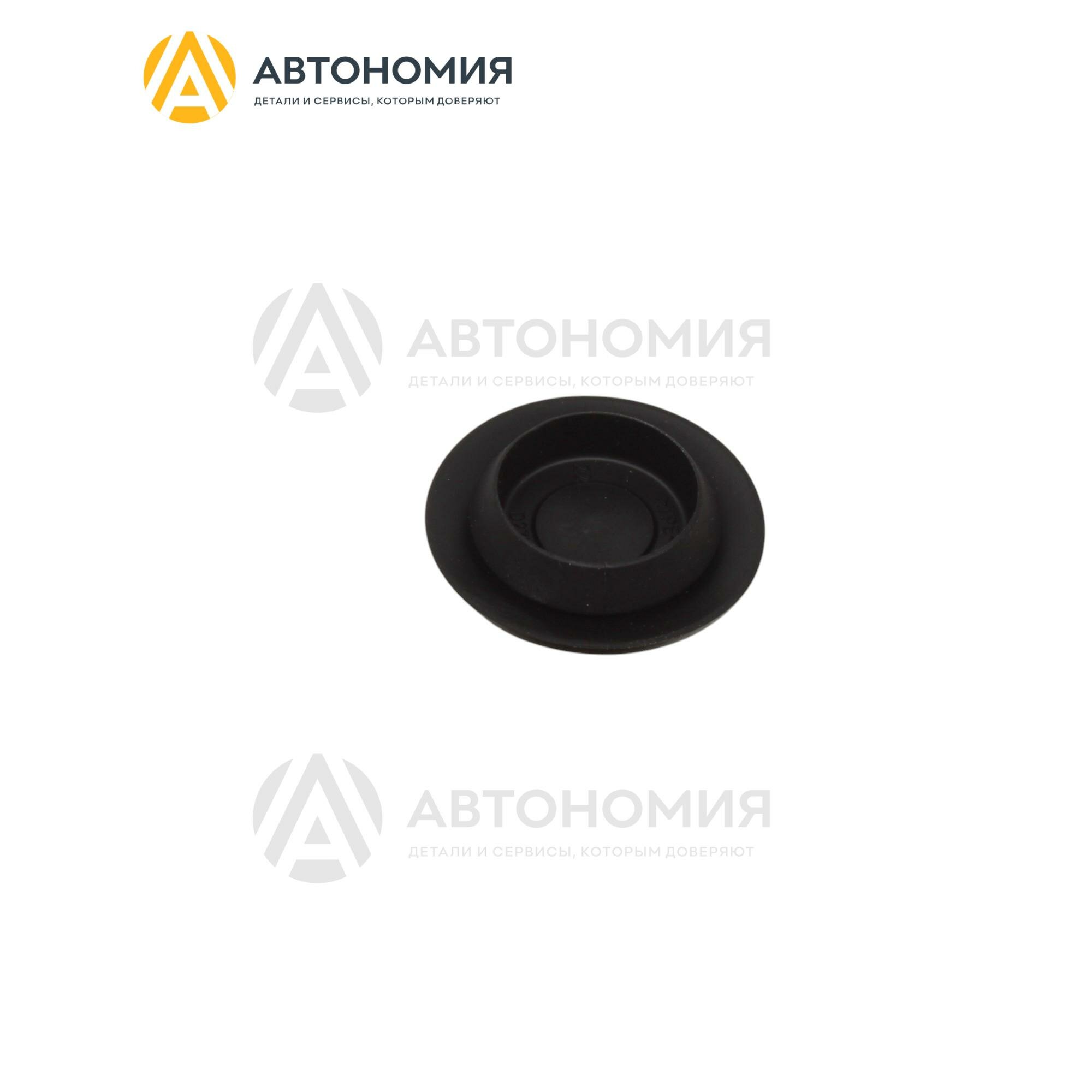 Заглушка диам. 25мм защиты отверстий элементов кузова (1134817) Ford W707405S300