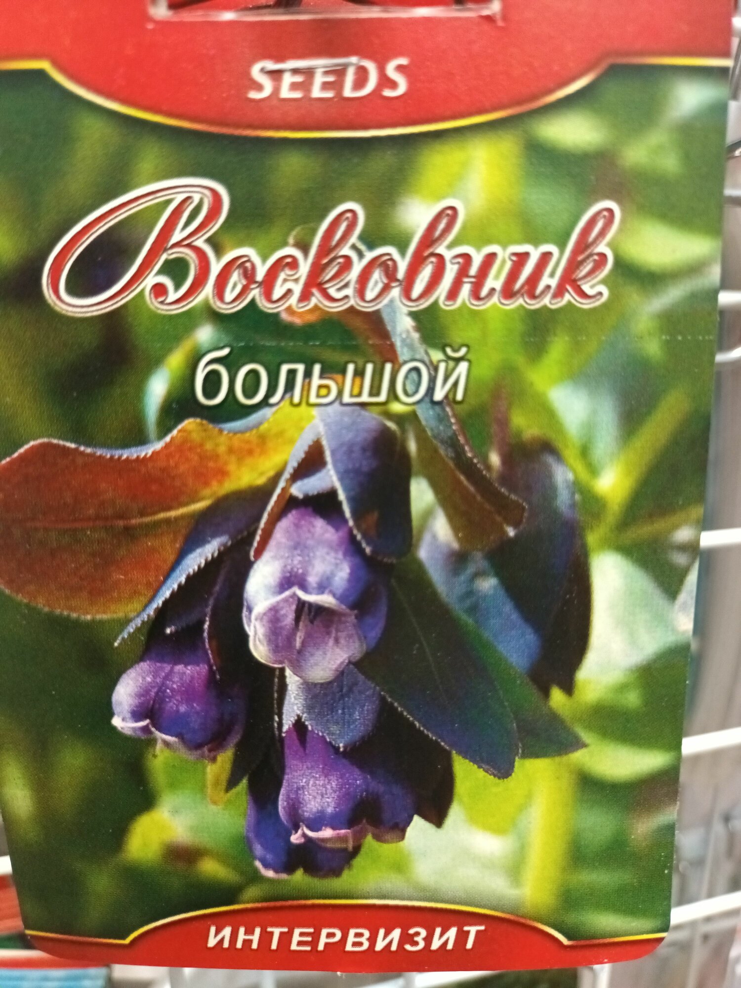 Восковник семена