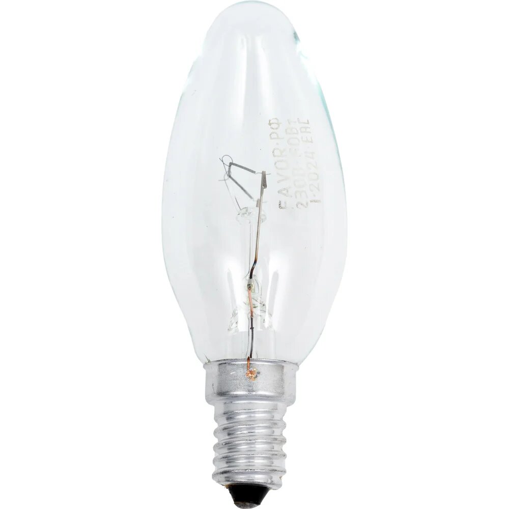 Лампа накаливания FAVOR ДС 230-40 Е27 8109011