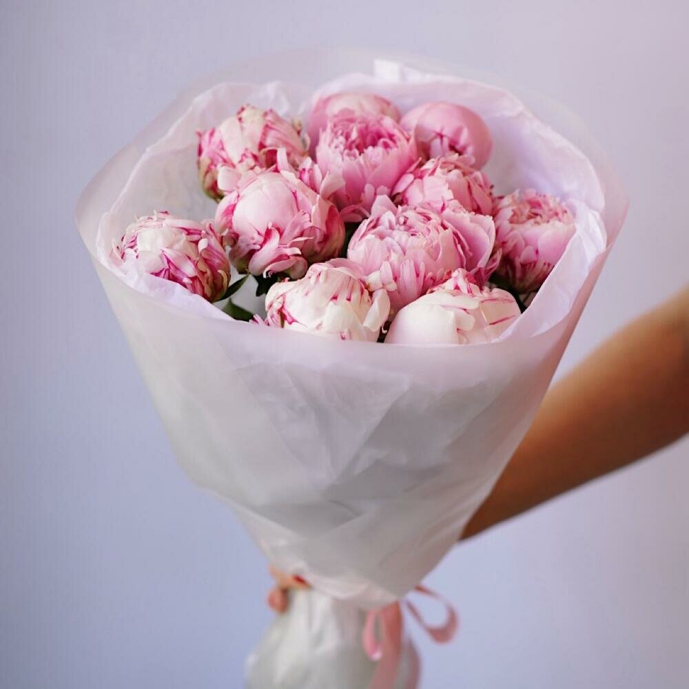 Розовые пионы сорта "Сара Бернар" в дизайнерской матовой упаковке, 11 пионов