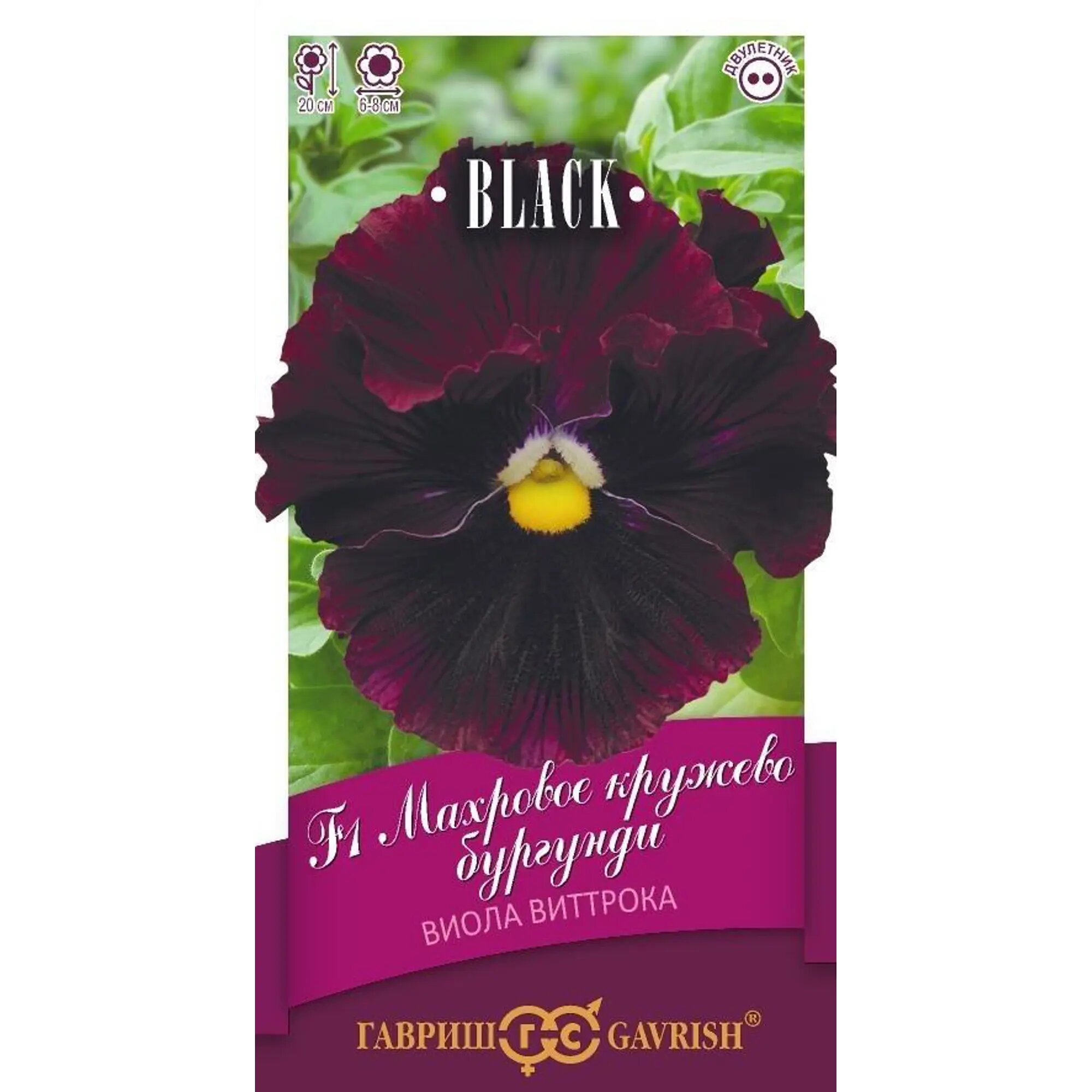 Гавриш Блэк виола Махровое кружево бургунди 4 шт семена цветов для ландшафтного оформления