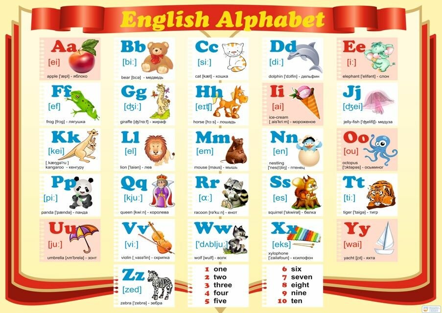 Таблица демонстрационная "Английский алфавит в картинках" (с транскрипцией)