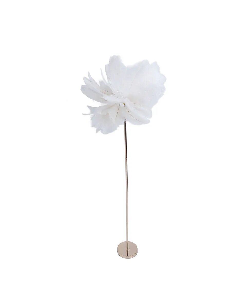 Напольная лампа Ostrich Plume Iron Art 61 дюйм LED USB