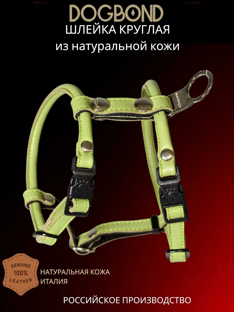 Шлейка Dogbond круглая для шпица из кожи