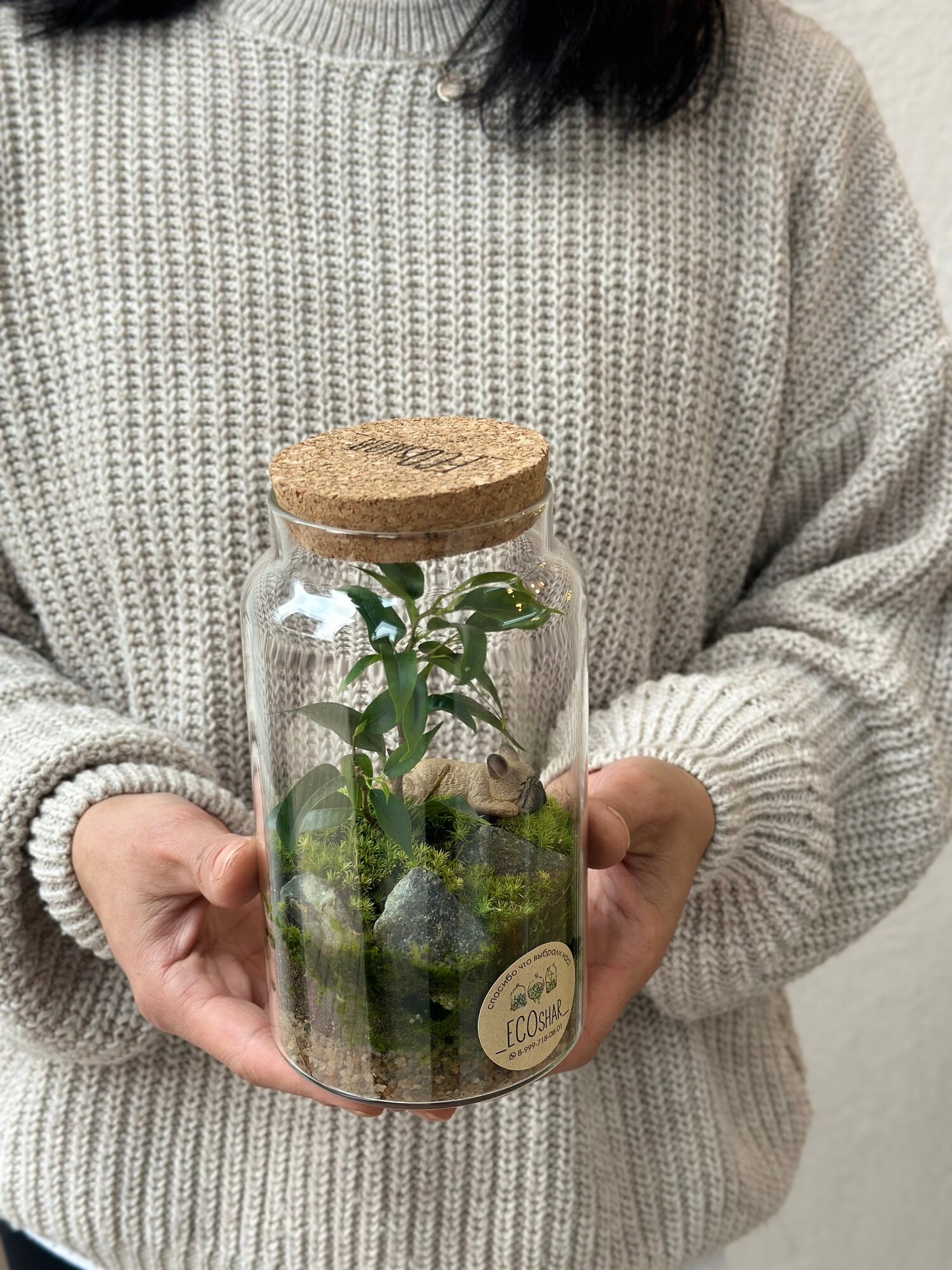 Флорариум террариум