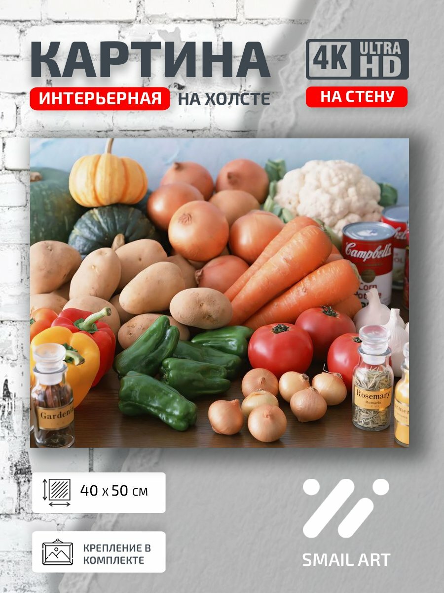 Картина на холсте интерьерная 40 на 50 на стену Овощи Food для кухни кулинария интерьер