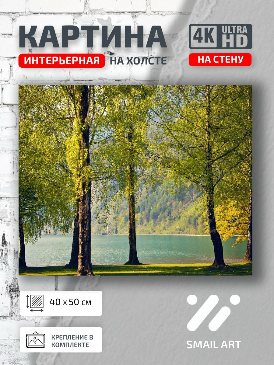 Картина на холсте интерьерная 40 на 50 на стену Озеро Landscape для офиса пейзаж интерьер