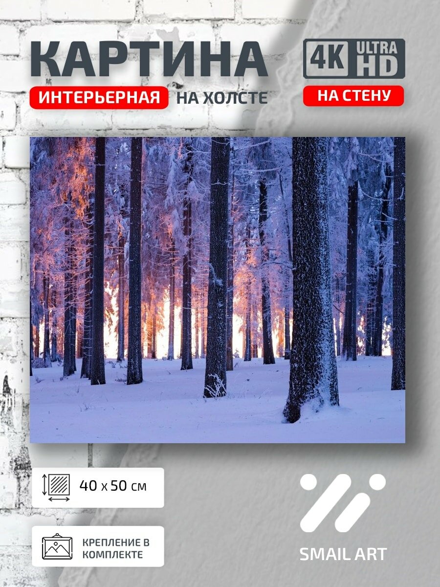 Картина на холсте интерьерная 40 на 50 на стену Лесная зима для гостиной пейзаж