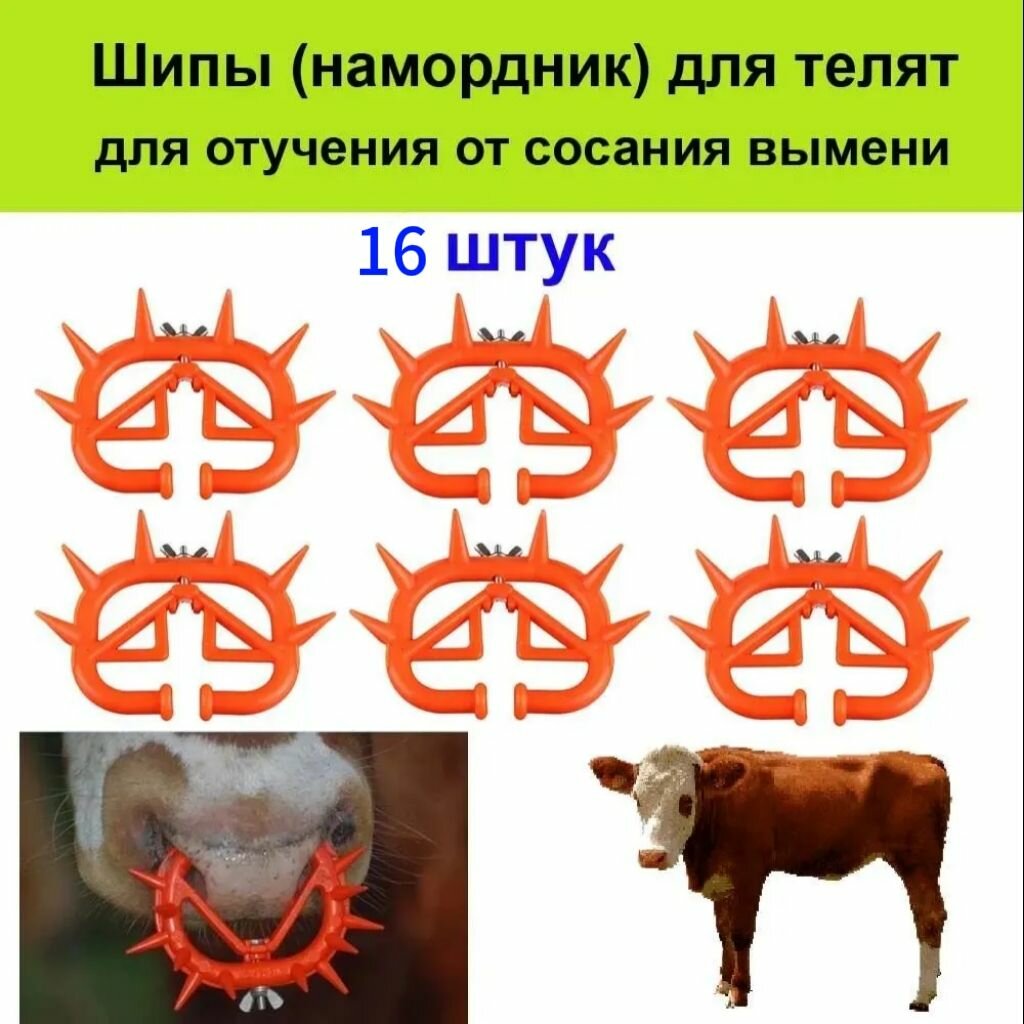 Намордник (шипы) для телят, для отучения от сосания вымени - 16 штук