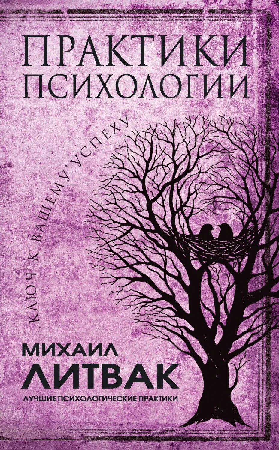 Практики психологии. Ключ к вашему успеху [Цифровая книга]