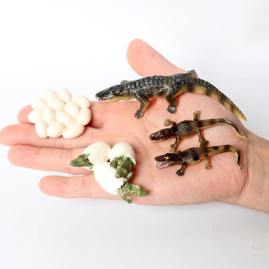 Игрушка из крокодиловой фигурки, игрушки, модель аллигатора, игровой набор жизненного цикла, фигурки животных, фигурки рептилий, животных, подарки для детей, игры