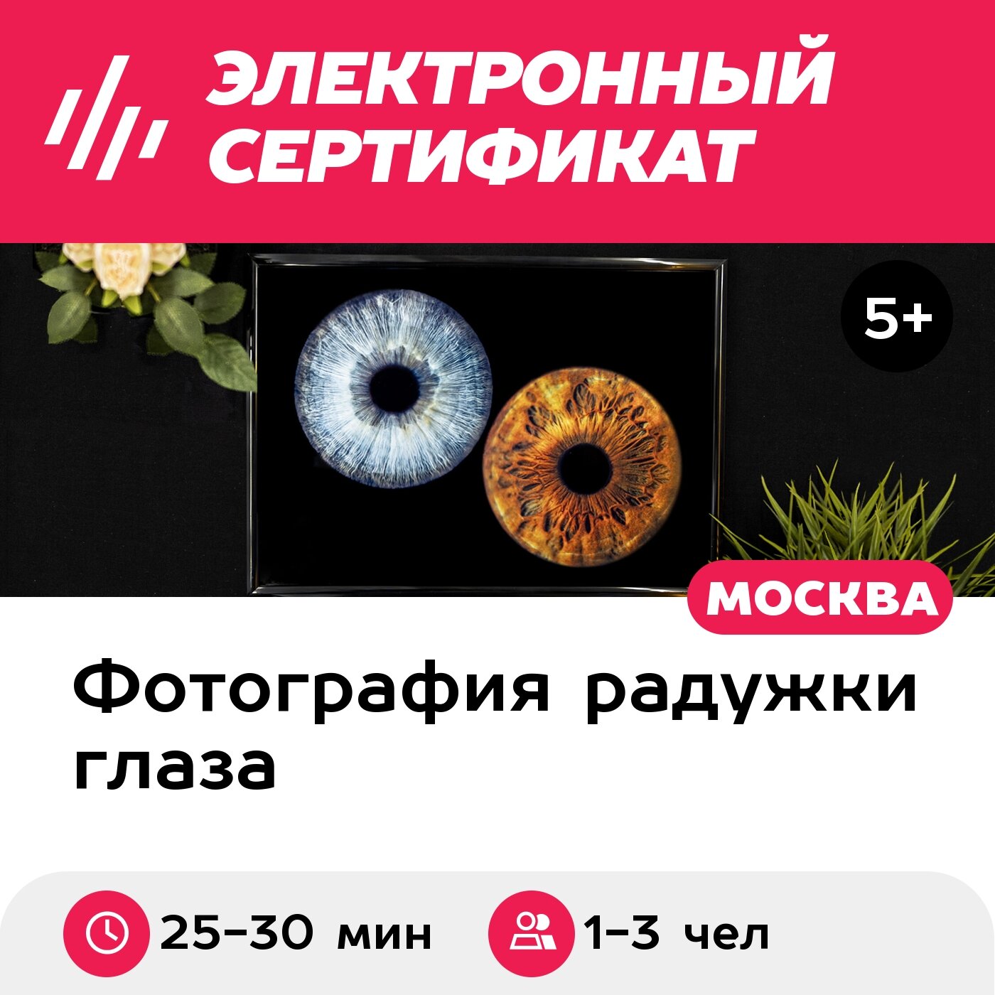 Подарочный сертификат Фотография радужки глаза в деревянной раме, А4, 1-3 чел, Москва