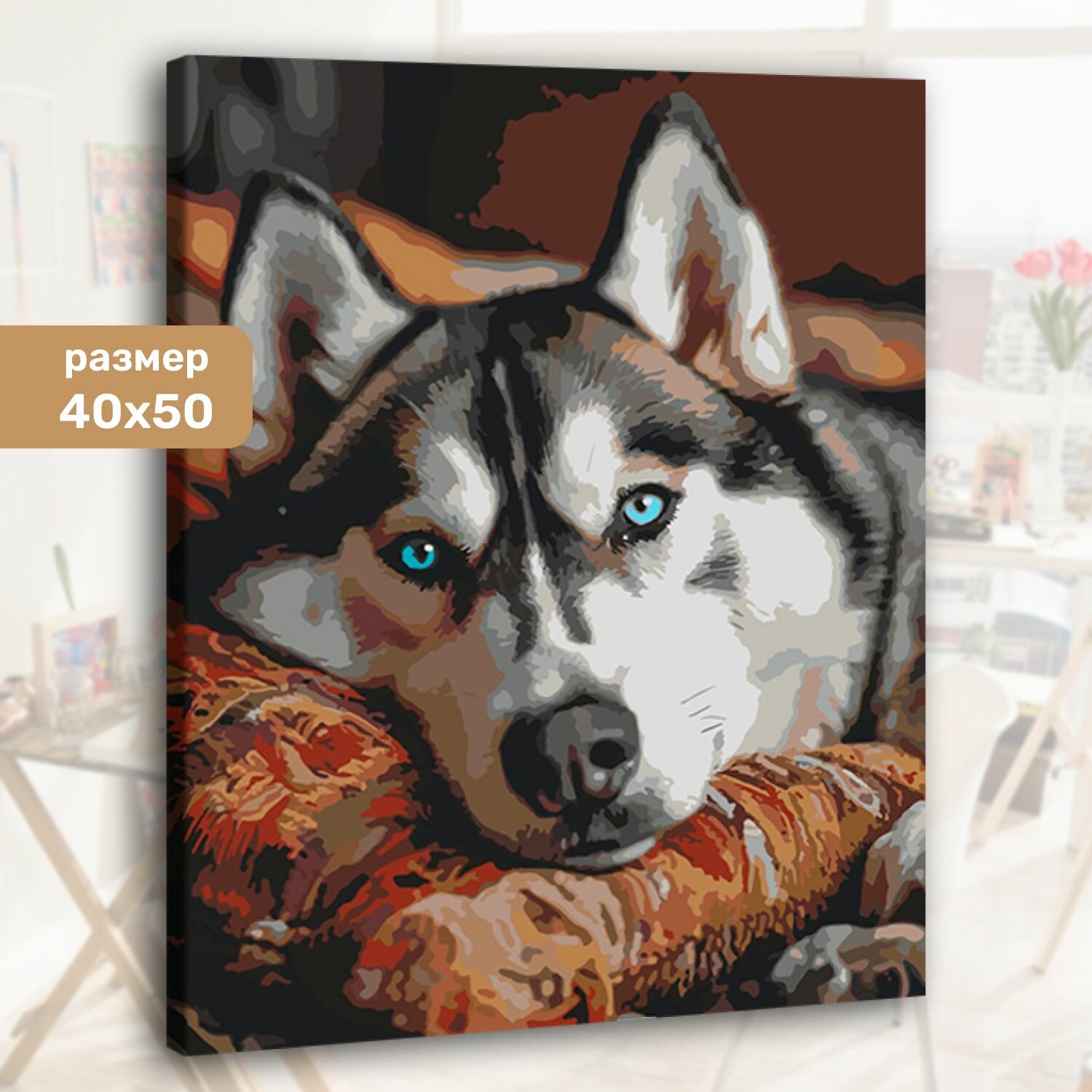 Картина по номерам на холсте 40х50, собака породы хаски