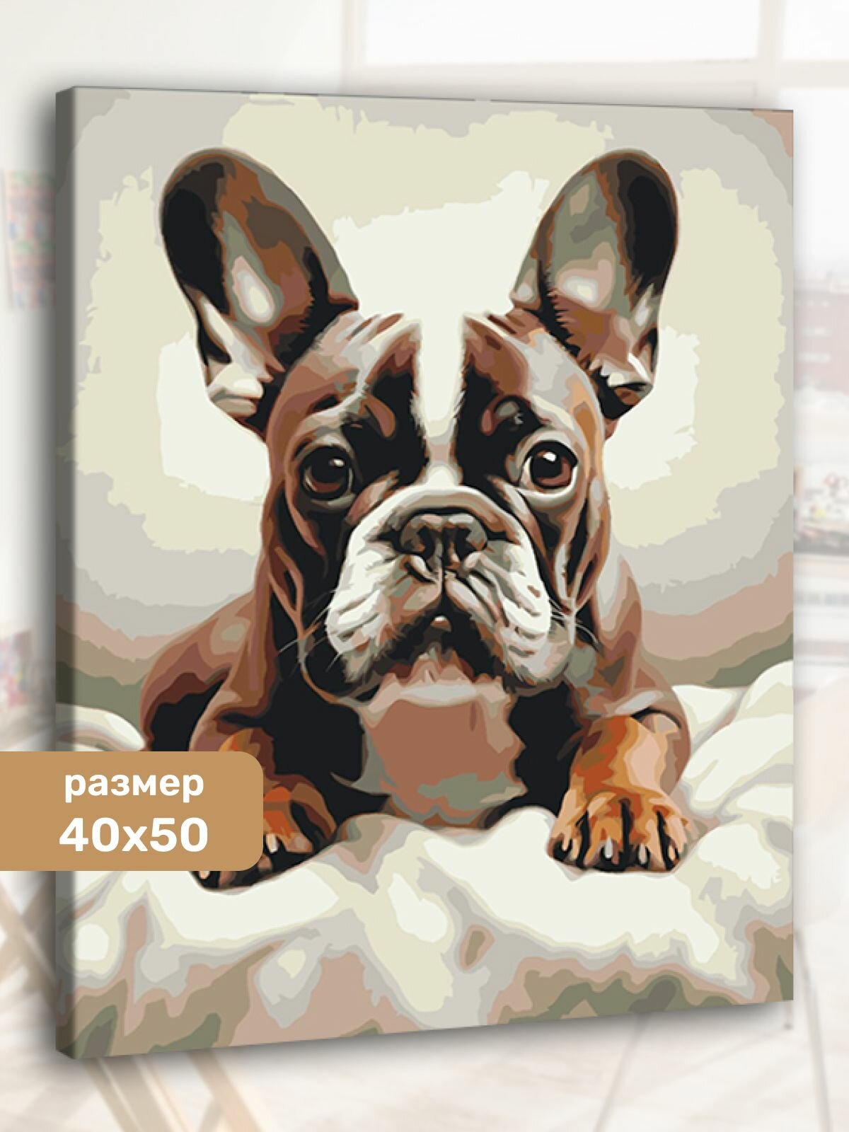 Картина по номерам на холсте Французский бульдог
