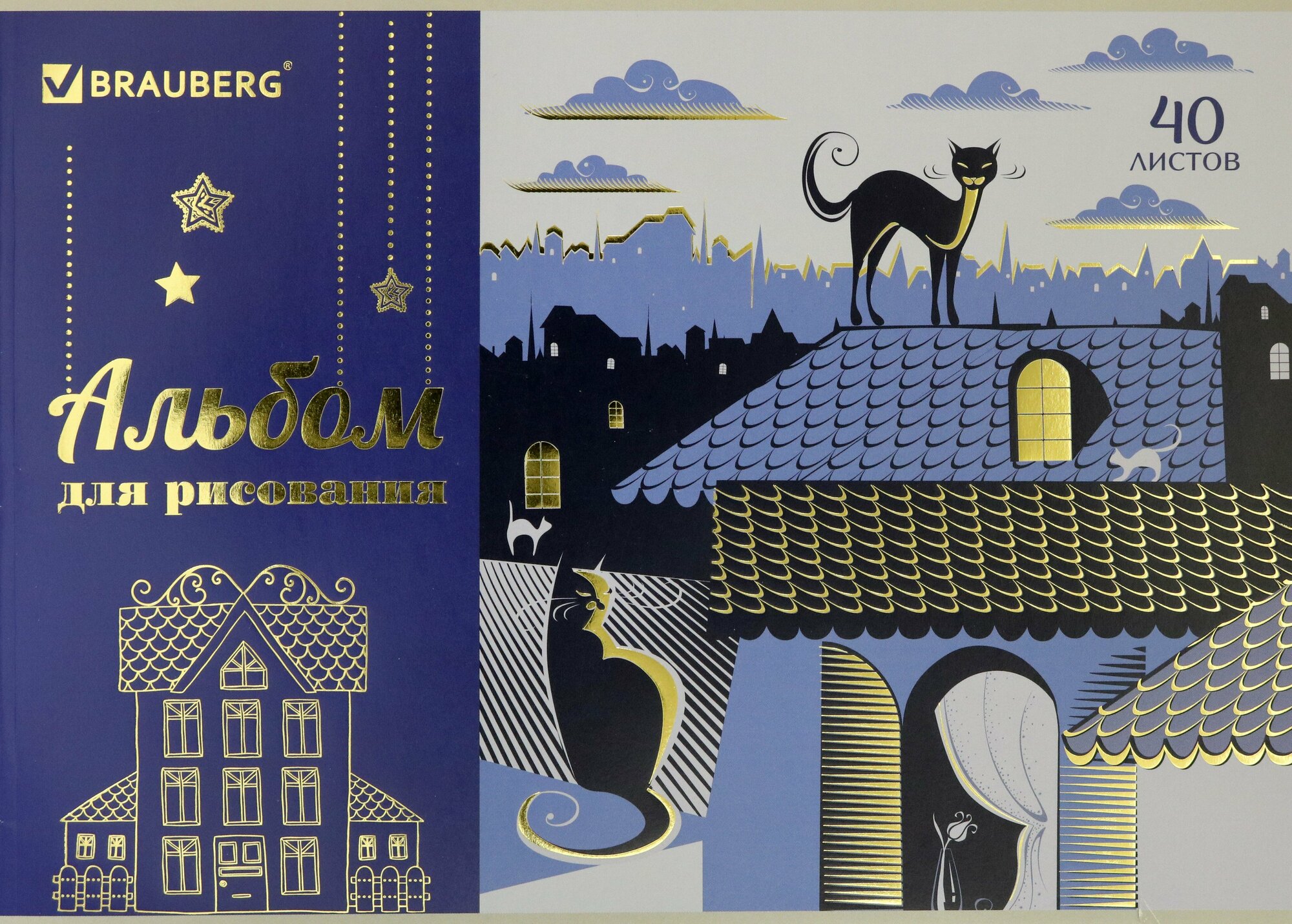 Альбом для рисования Кошечки, 40 листов, А4, 2 вида