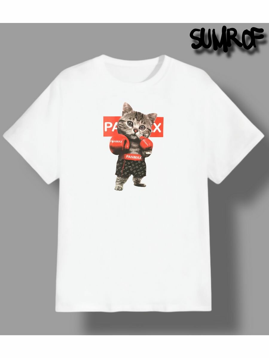 Футболка кот боксер