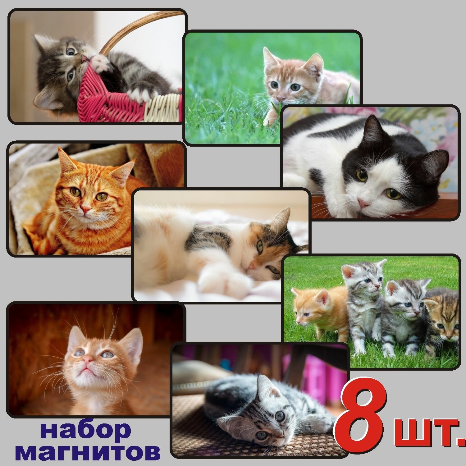 Котики набор магнитов 54x86мм 8 шт.