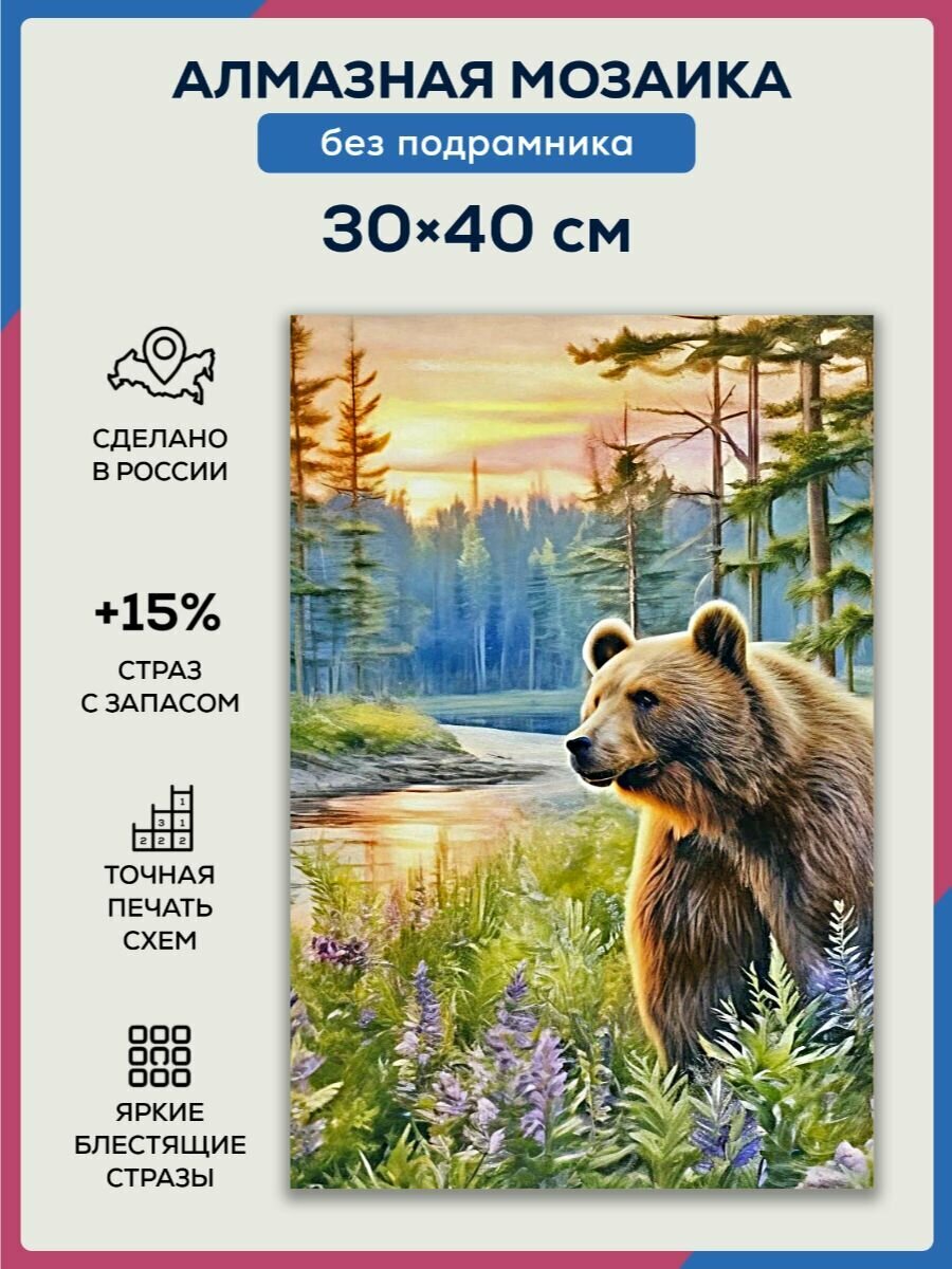 Алмазная мозаика 30x40 Медведь на опушке без подрамника