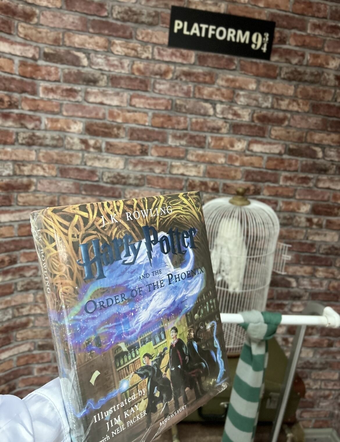 Bloomsbury Harry Potter and the Order of the Phoenix (illustrated ed)