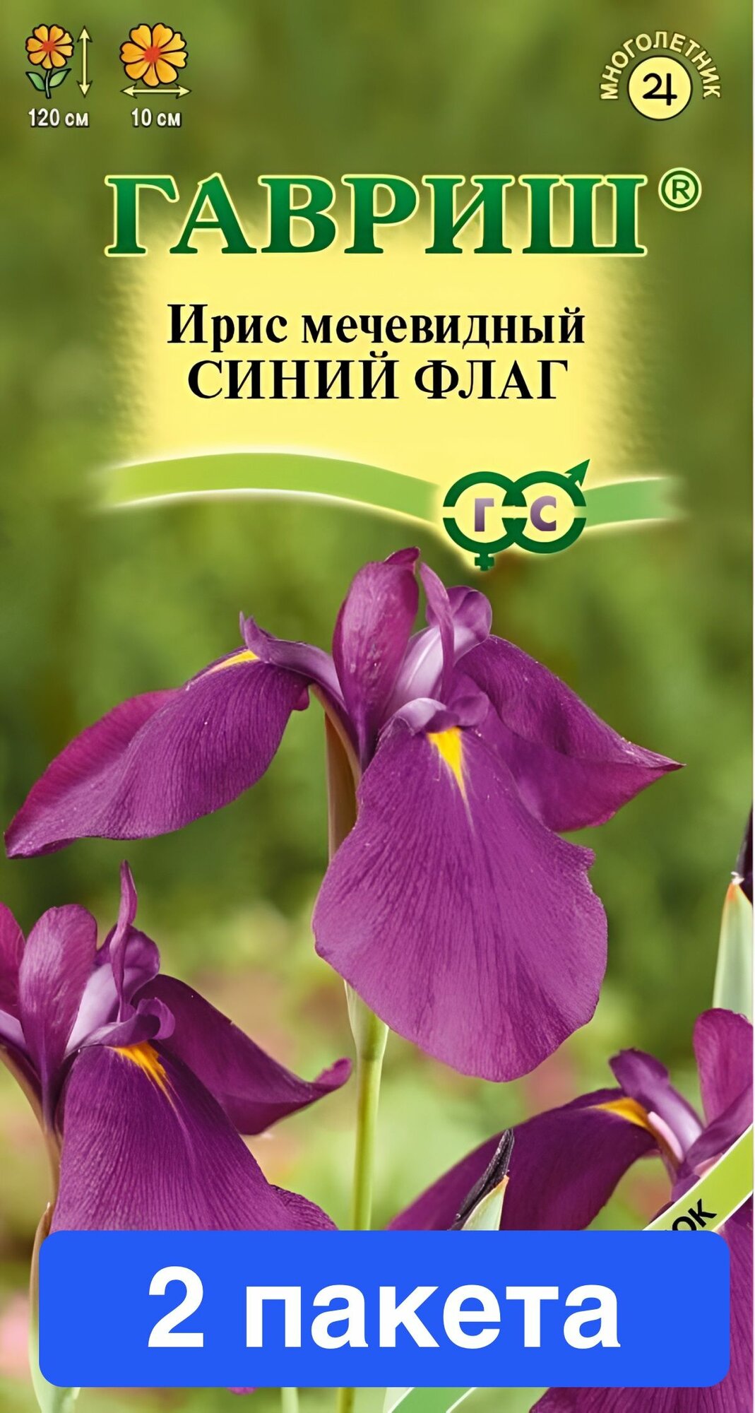 Цветы Ирис Синий флаг (мечевидный) 2 пакета