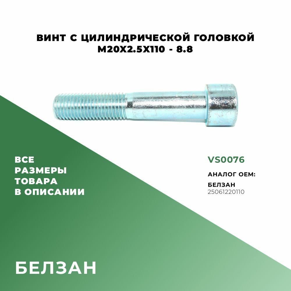 Винт с цилиндрической головкой M20х110х2,5-8.8; БелЗАН 25061220110; VS0076
