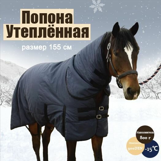 Попона для лошади
