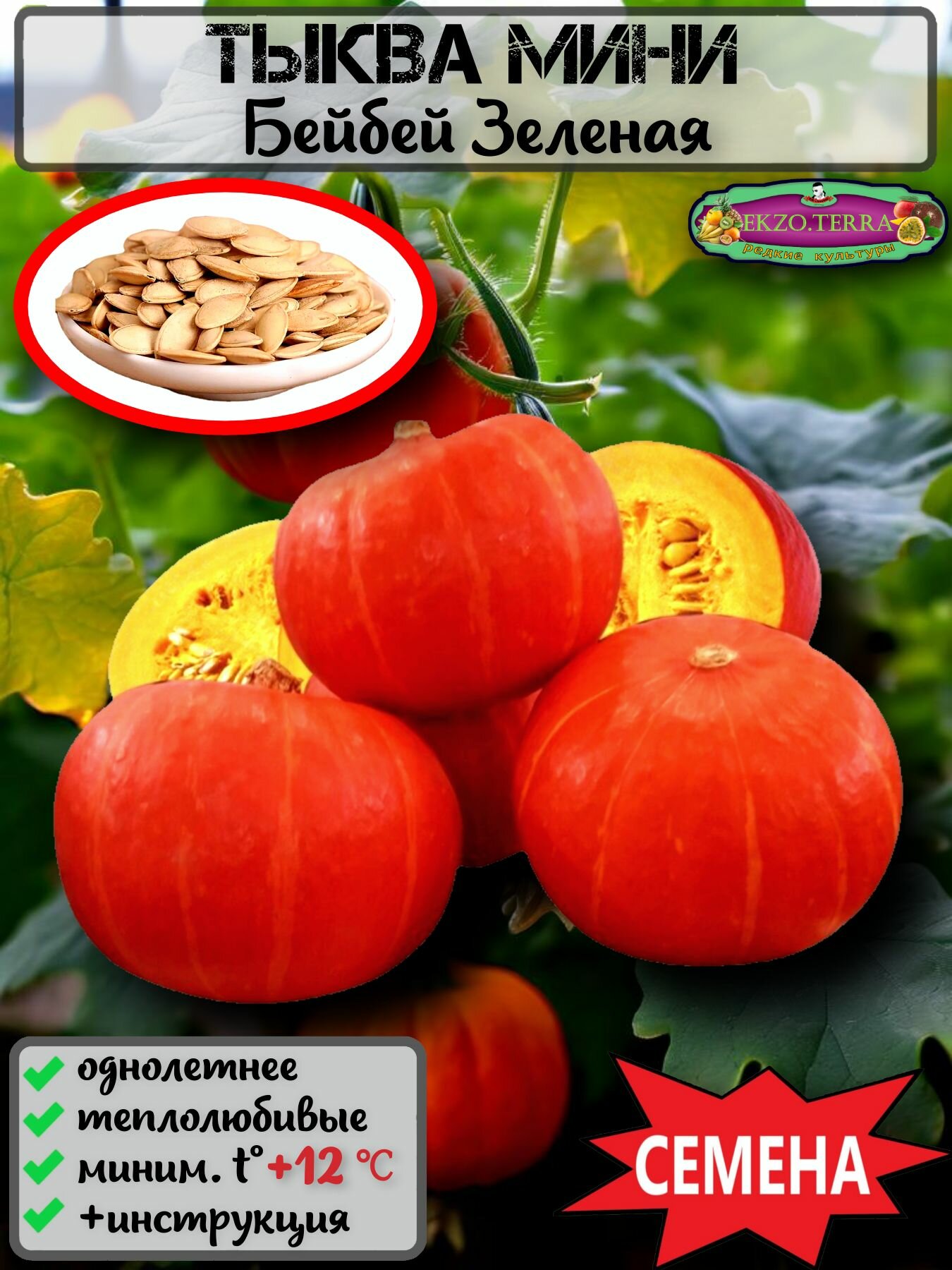 Семена Тыква Мини Бейбей Красная 10 шт.