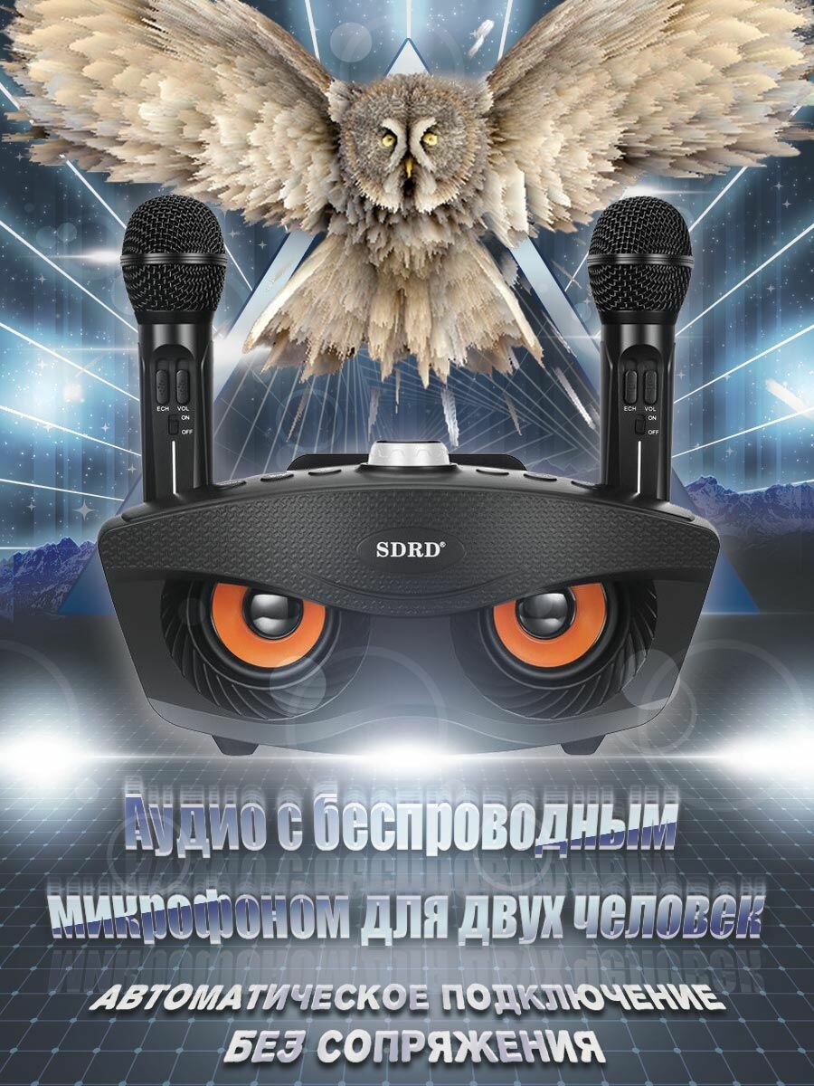 Домашняя караоке-система с беспроводным микрофоном SD-306 black