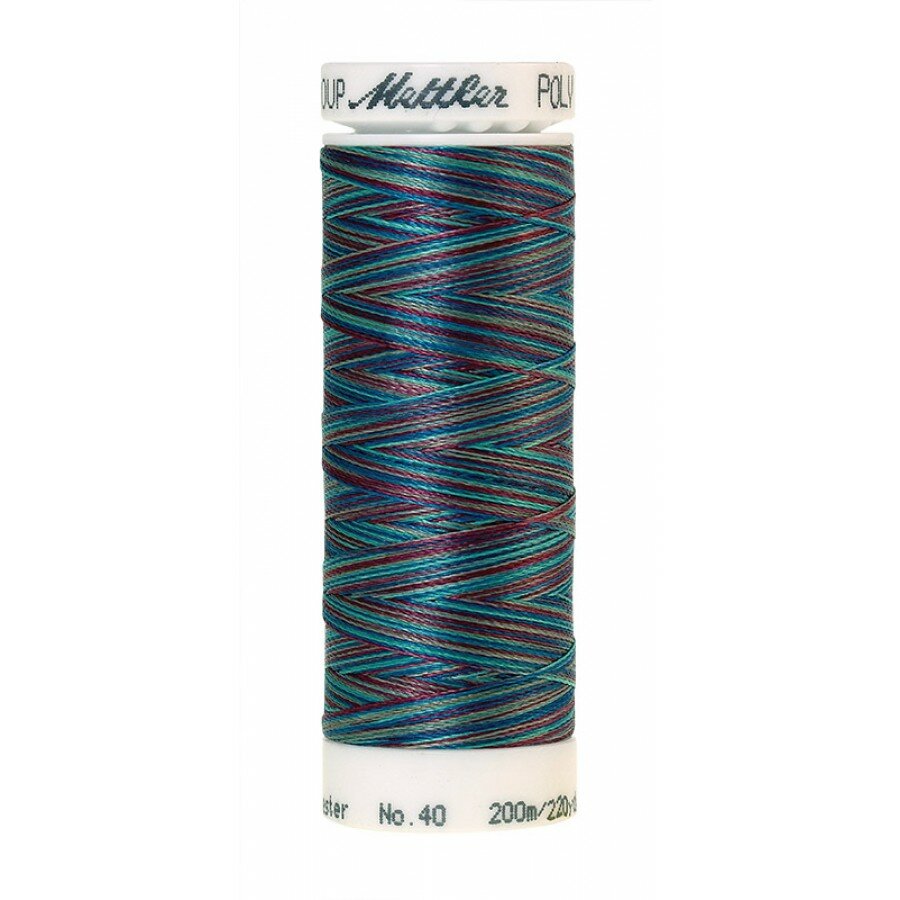 Нить для вышивания мультиколор, POLY SHEEN MULTI METTLER, 200 м 9970 Royal Gems