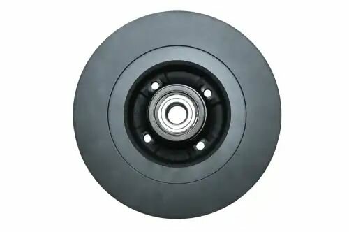 Диск тормозной с подшипником Renault Grand Scenic II/Megane Grandtour