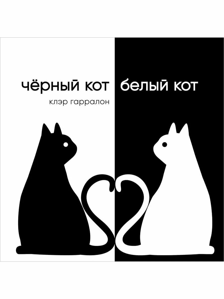 Черный кот, белый кот