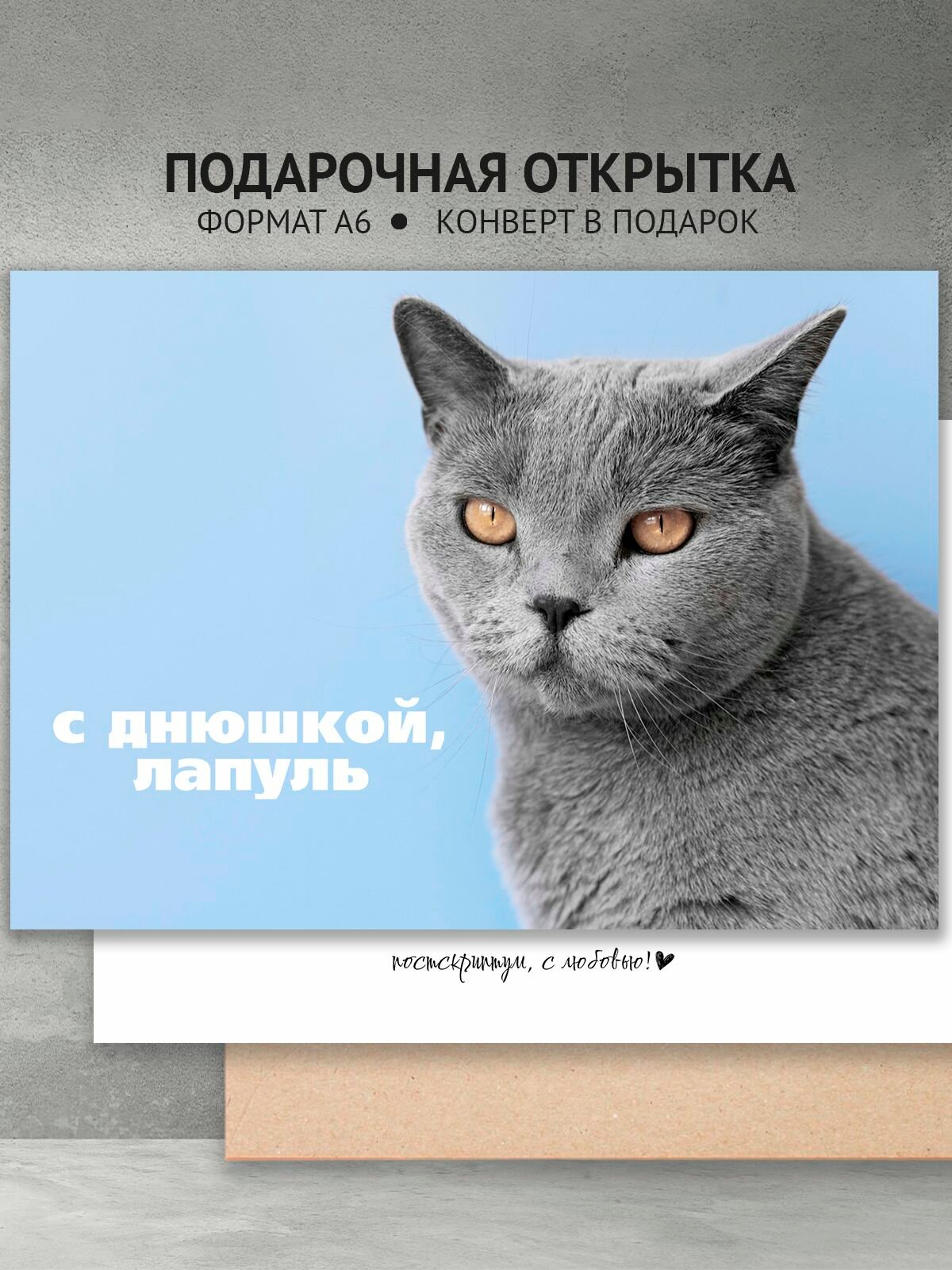 Подарочная открытка с уникальной иллюстрацией котик "С днюшкой, лапуль" с днем рождения, с юбилеем