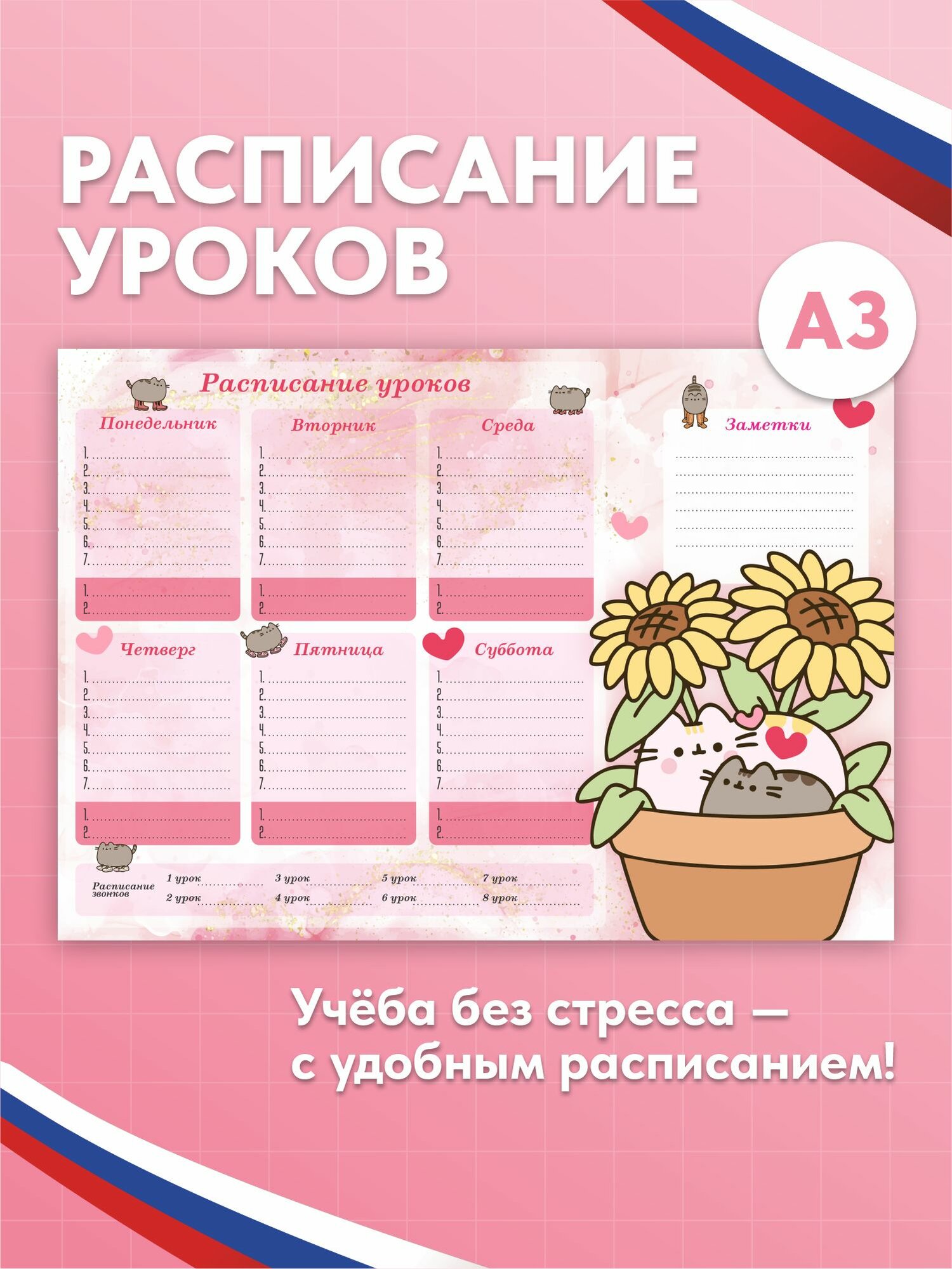 Расписание уроков Пушин