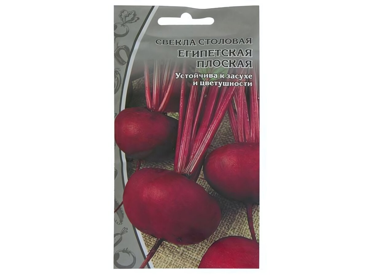 Семена свеклы египетской плоской 10шт, устойчивость к засухе и цветушности