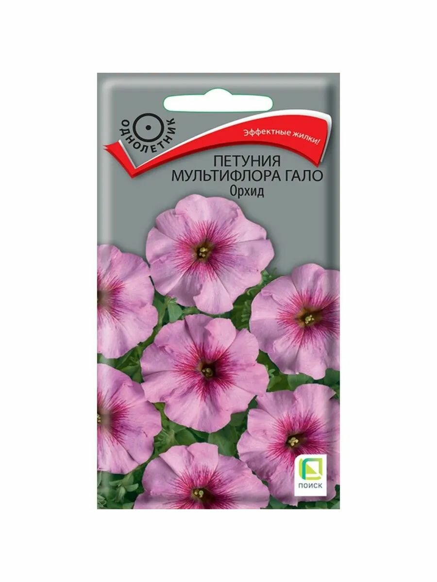 Семена цветов петуния Мультифлора Гало Орхид компактная , для вазонов. Поиск.