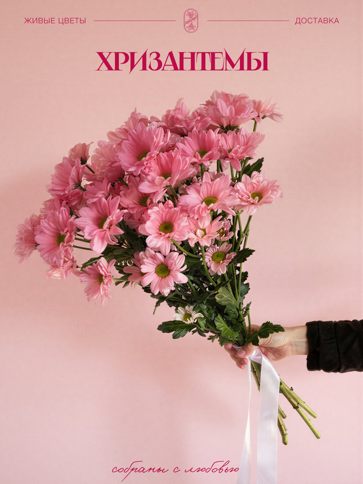 Букет живых цветов из 5 кустовых хризантем