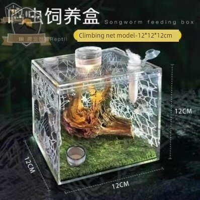 Клетка для разведения прыгающих пауков, премиум-террариум для пауков, для цикад, стрекоз, высокопрозрачный контейнер