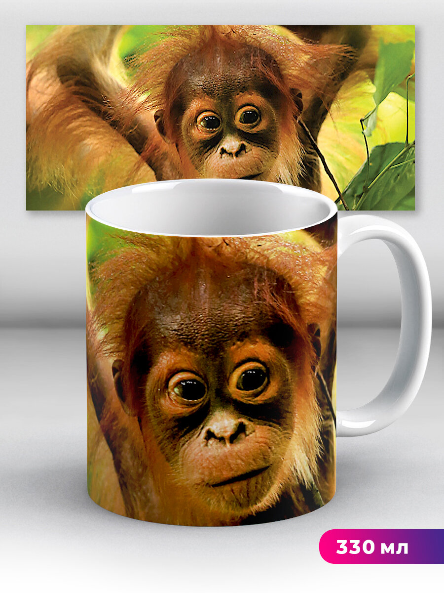 Кружка Маленький орангутанг Обезьянка