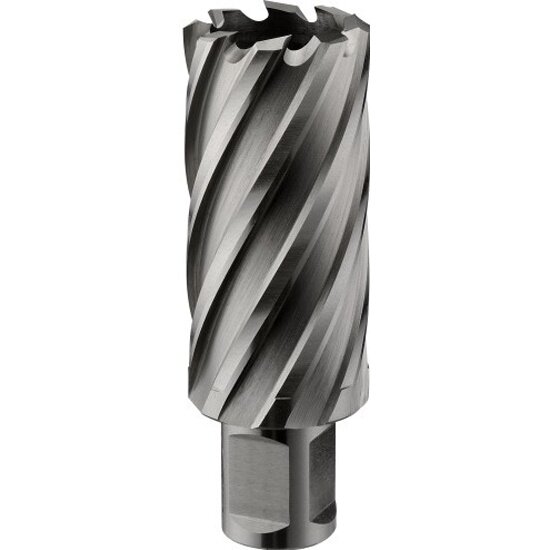 Кольцевая фреза Rotorica HSS 29x55 RT.4215029