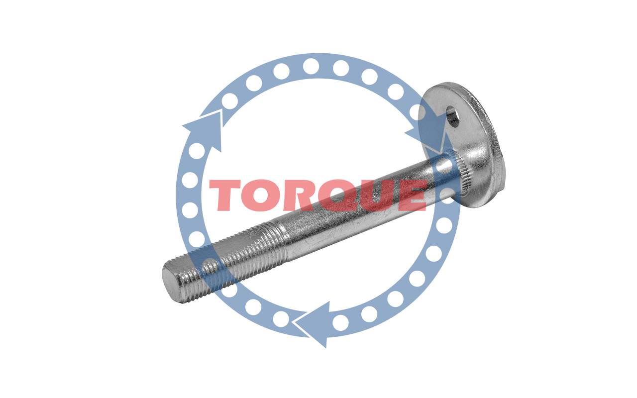 TORQUE CP006 болт эксцентриковый