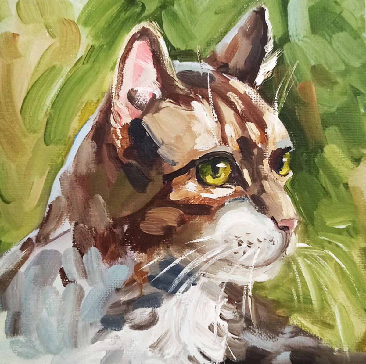 Картина кот масло холст живопись