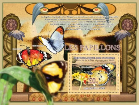 Почтовые марки Гвинея 2009г. "Насекомые - Бабочки" Бабочки MNH