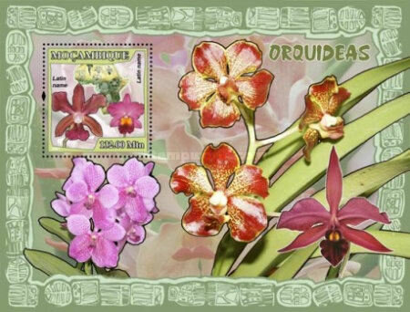 Почтовые марки Мозамбик 2007г. "Орхидеи" Орхидеи, Цветы MNH