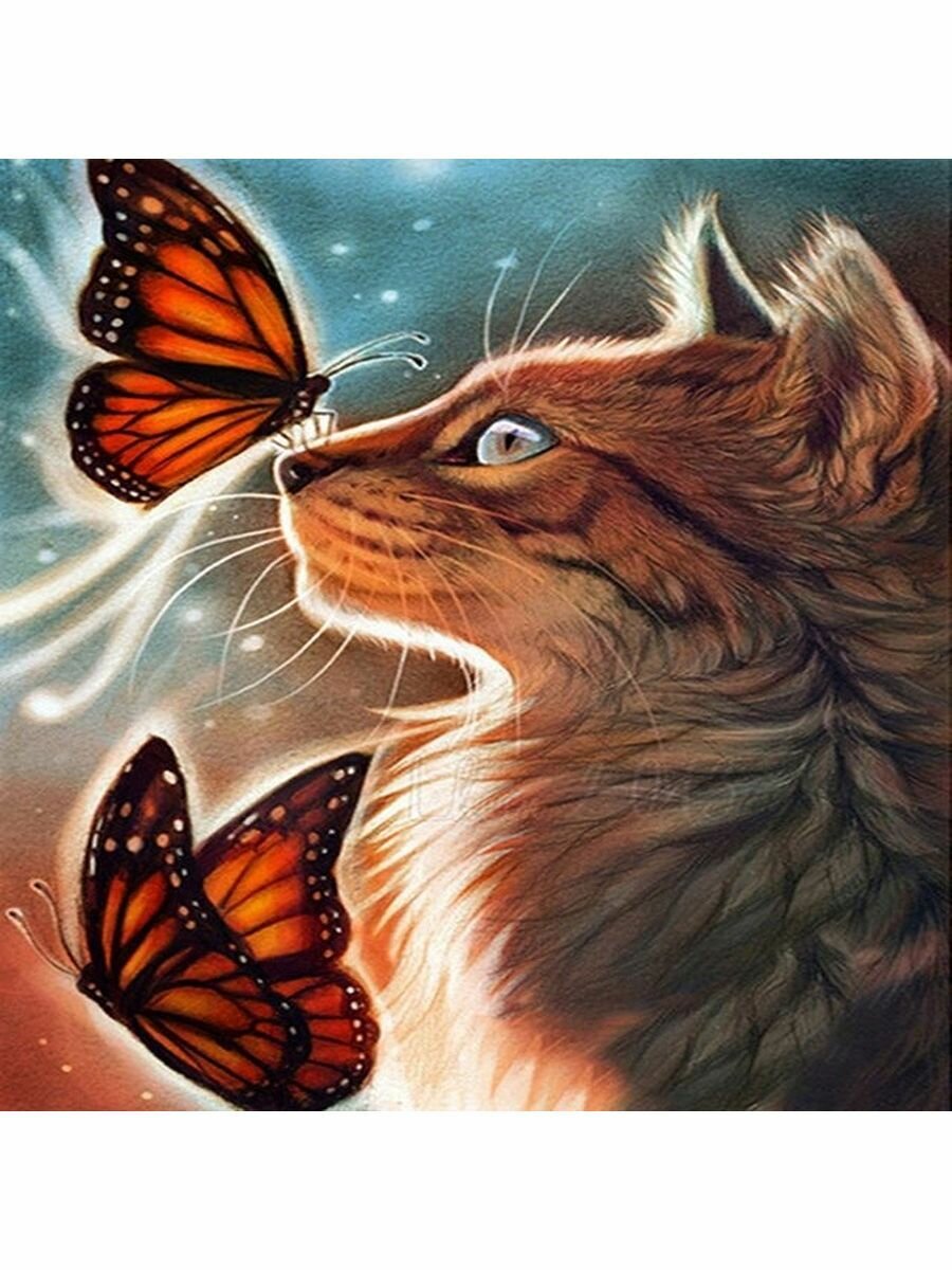 Картина по номерам кот и бабочка 40x50
