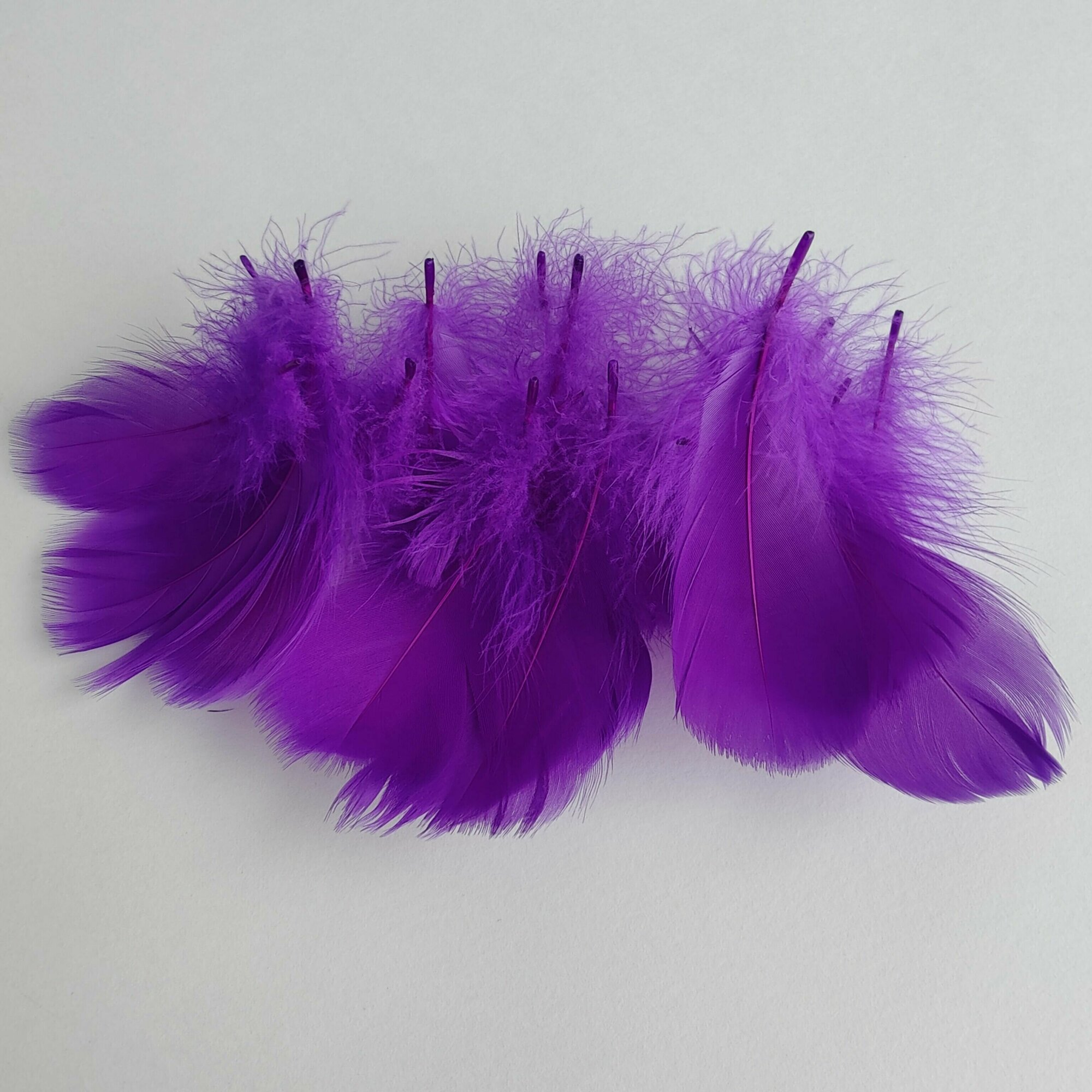 Перья декор фиолетовые №26, 100 штук