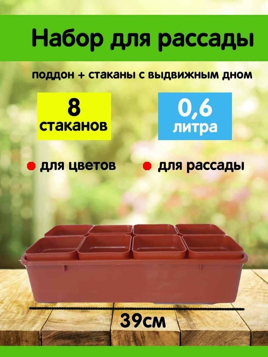 Набор для рассады "Рассадушка-2" 8 стаканов 0,6л+ящик, терракотовый, Сузун