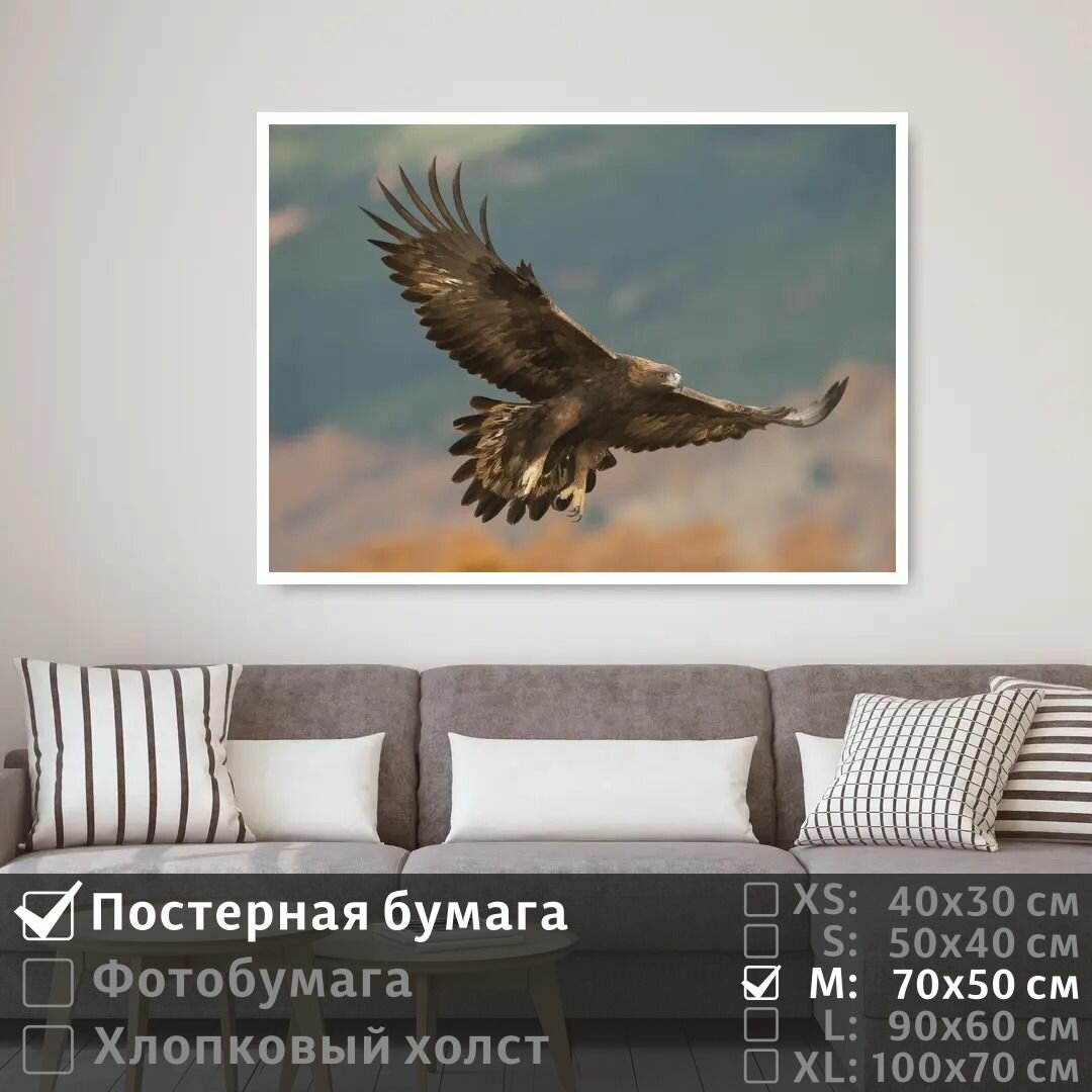Постер на стену Парящий Орел В Небе 70х50 см ПолиЦентр